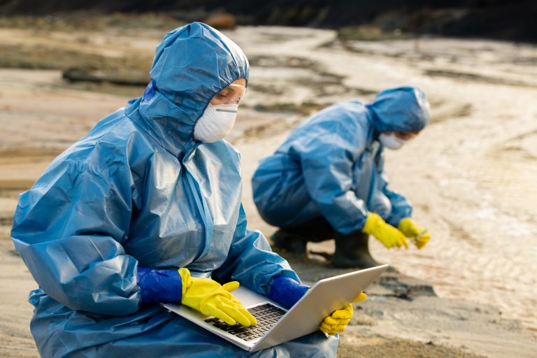 5 Sustainability Development Career Paths to Consider