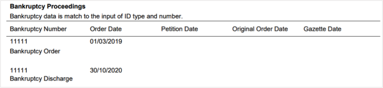 Credit Bureau Report: Understanding & Interpreting Your Data